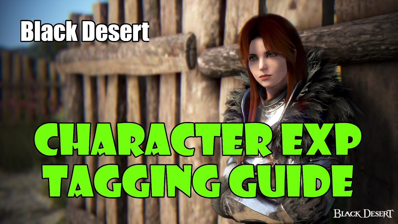 [Black Desert] EXP Tagging Character Tag System Guide | Level Up Two ...