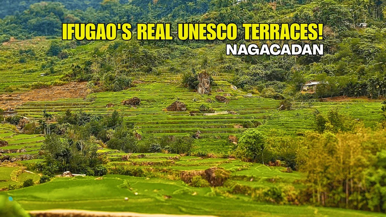 Nagacadan, Ifugao: The REAL UNESCO Rice Terraces - YouTube