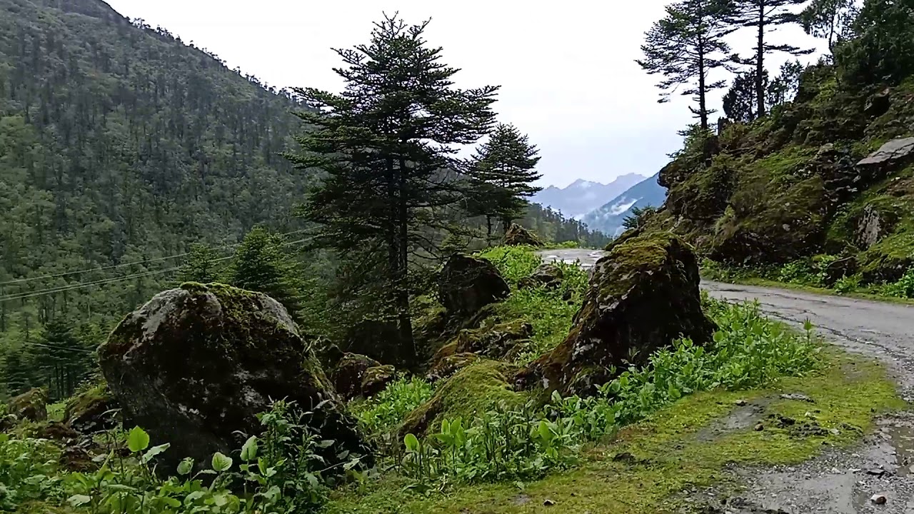 Katao To Sikkim India Tour - YouTube