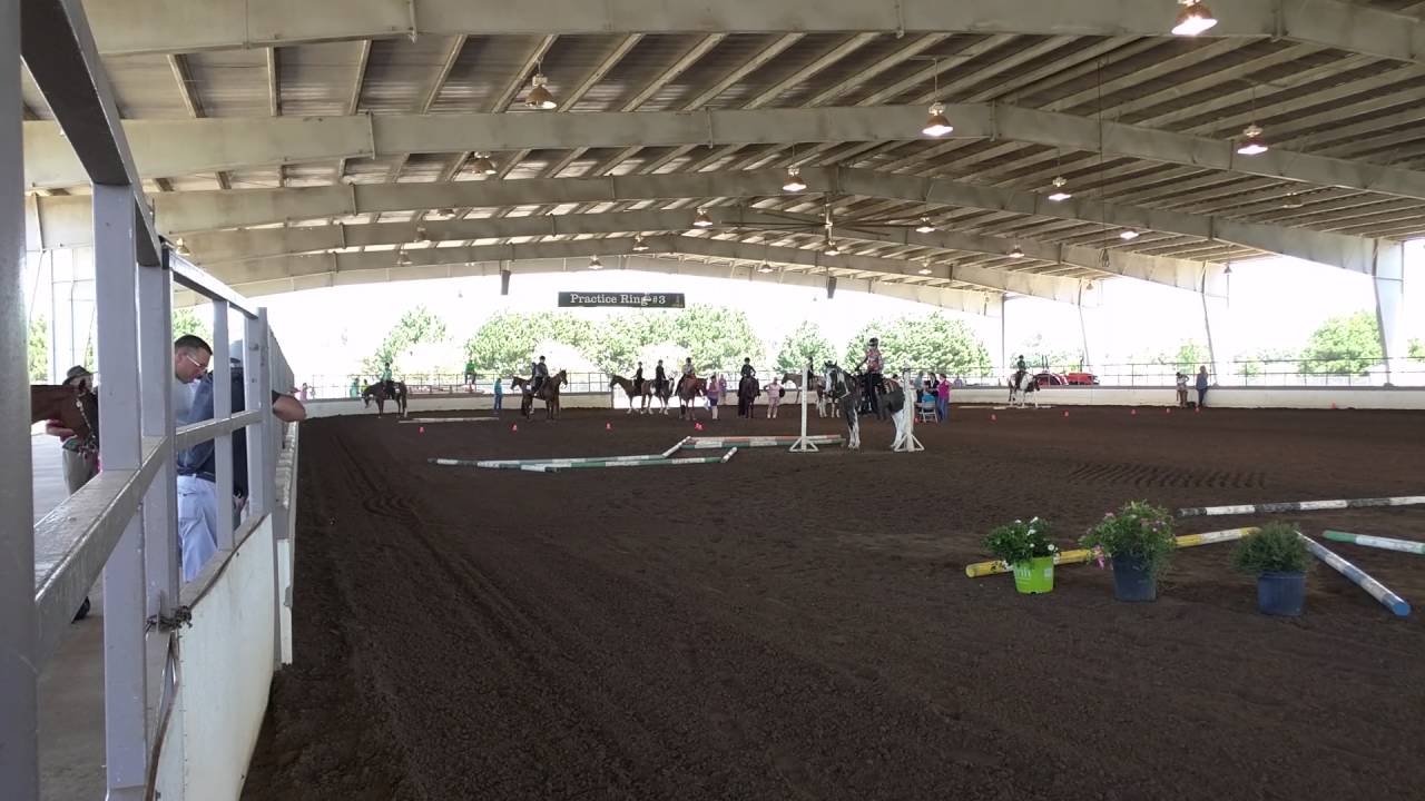 2016 4-H Southern Region Horse Championship Western Trail Class - YouTube