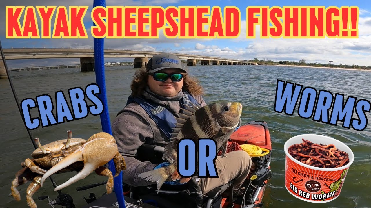 Sheepshead Fishing with Crabs or Worms? - YouTube