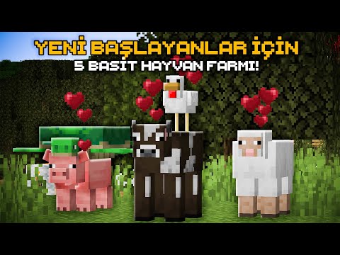 Oynamanızı Kolaylaştıracak En İyi 5 Başlangıç Seviyesi Hayvan Farmı !! Minecraft