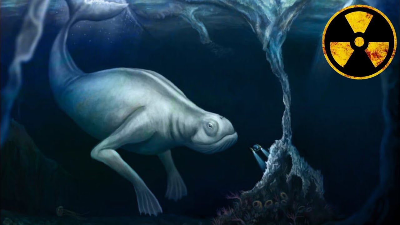 EL "NINGEN" LA EXTRAÑA CRIATURA MARINA | MISTERIOS DEL OCÉANO - YouTube