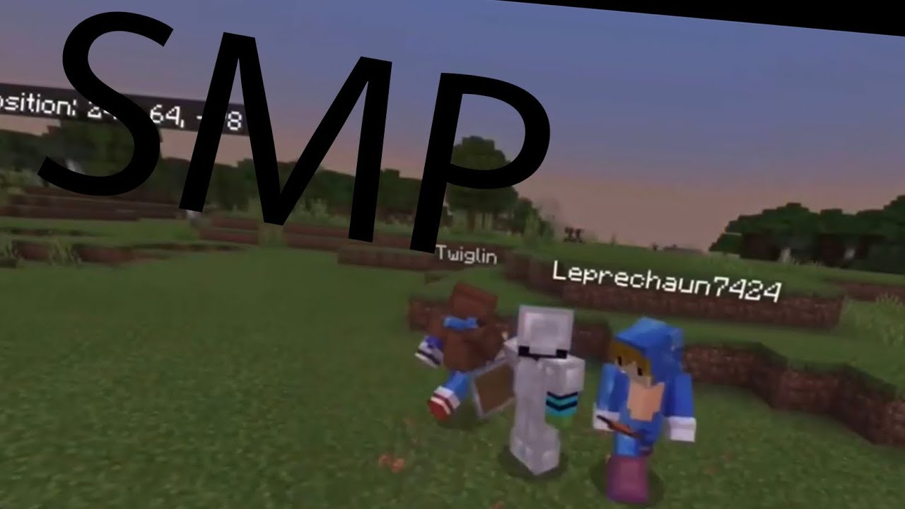 We make this SMP 1000% funnier!!! - YouTube