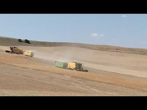 patozlu biçerdöver #newholland5.80