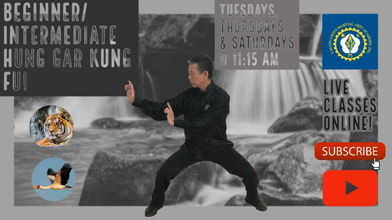 Beginner/Intermediate Hung Gar Kung Fu all ages Live! Traditional ...
