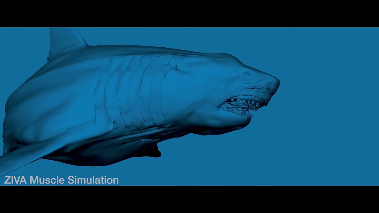 THE MEG Animating Sharks - YouTube