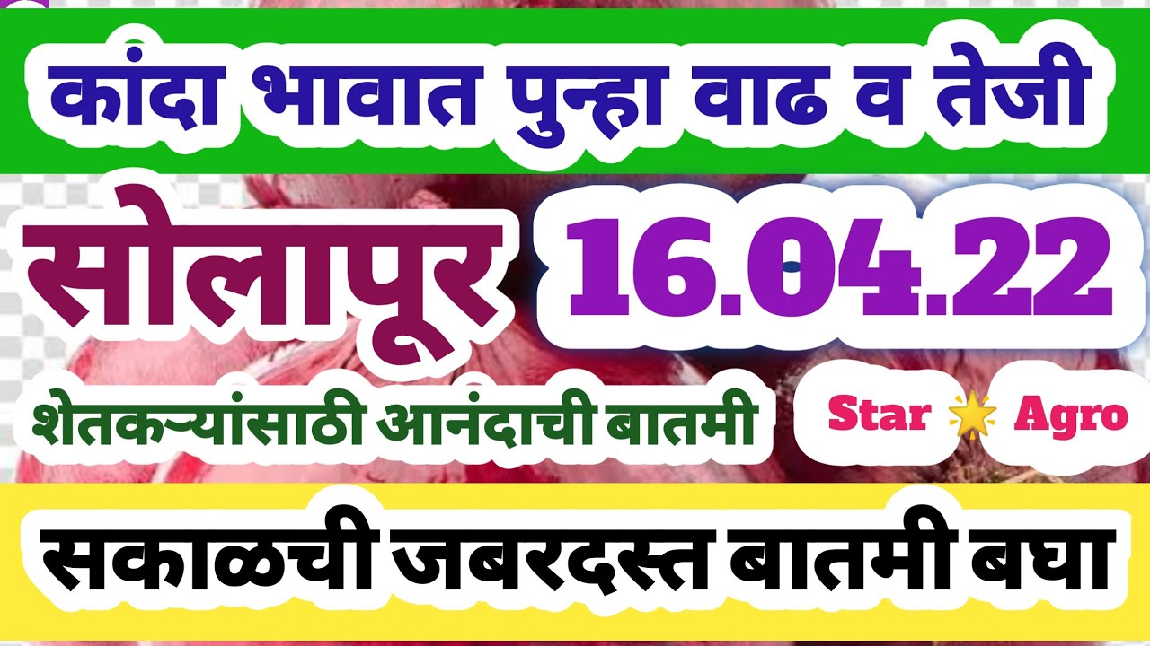 सोलापूर कांदा मार्केट आजचे बाजार भाव, solapur Kanda bajar bhav, Solapur Kanda market report ...