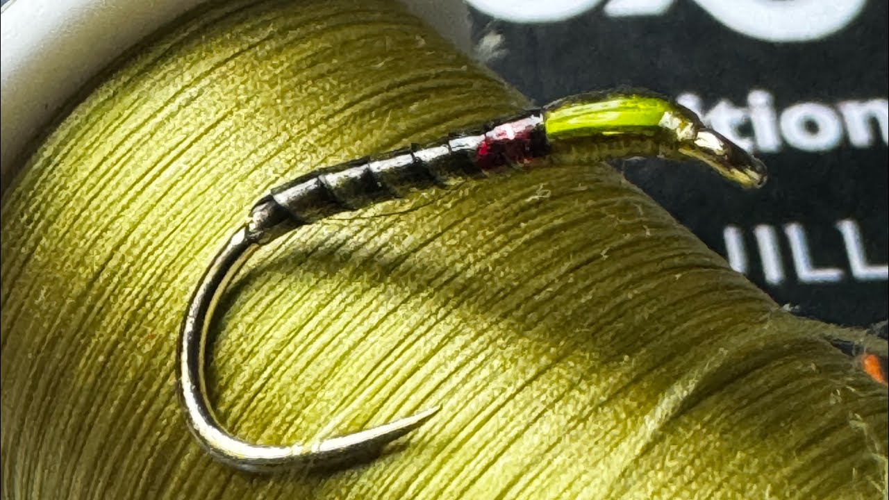 Catch more trout - The Quill Buzzer using Magic Quills from FlyBox # ...