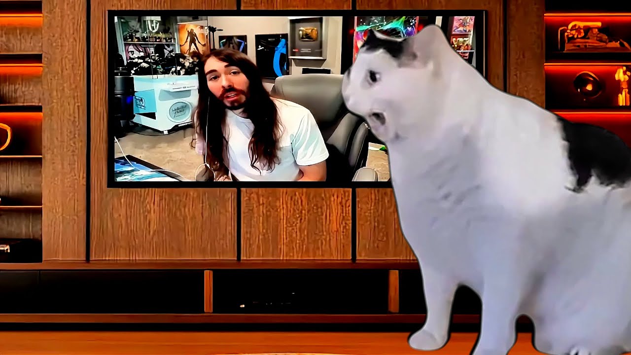 Penguinz0 Cat TV * Funny Cat Meme - YouTube