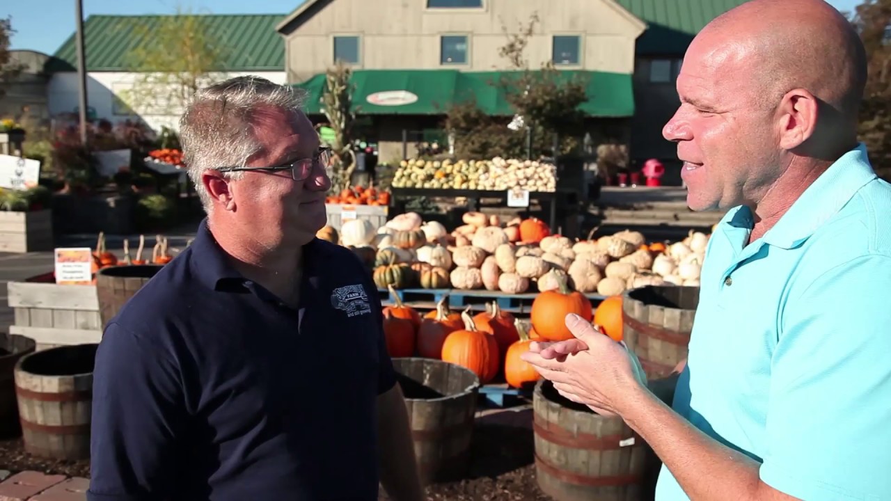 Shady Brook Farm Holiday Lights Festival 215-968-1670 Shady Brook Farm ...