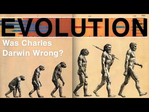Evolution's Unprogressive Nature - YouTube