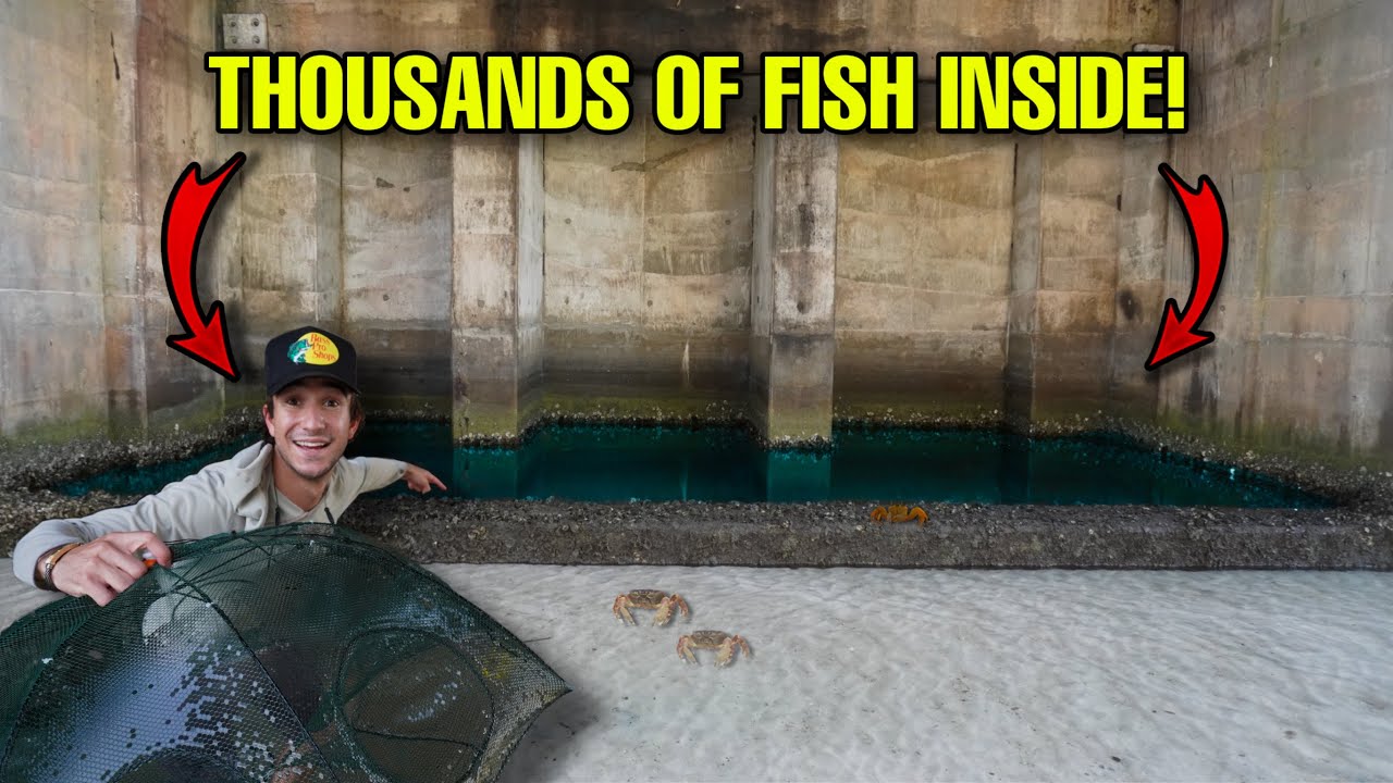 Trapping TONS of FISH Stuck In MASSIVE TIDE POOL!! *insane* - YouTube