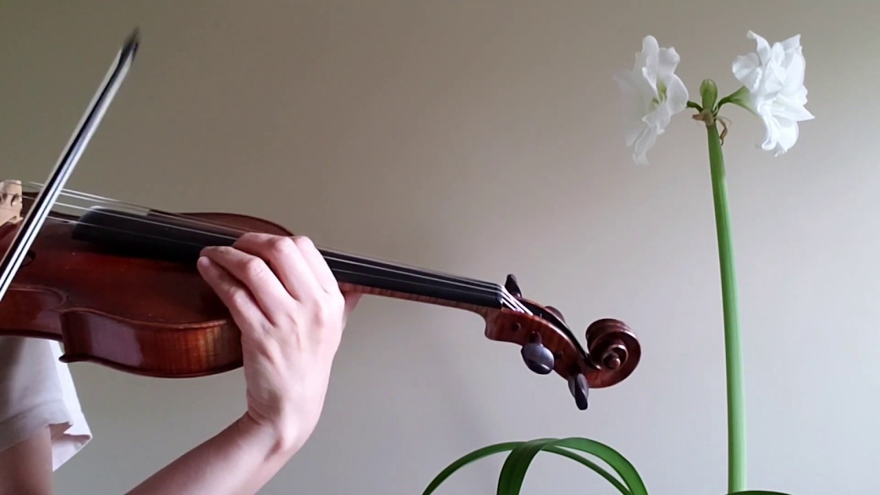 Praeludium and Allegro (Kreisler) - practice #2 - YouTube