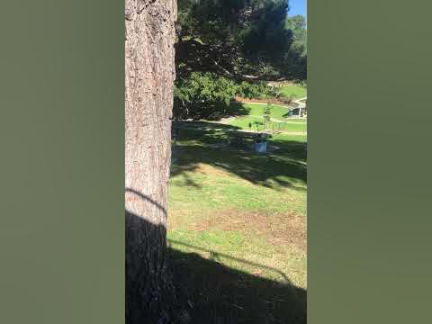 A Nice day at Glenn Park - YouTube