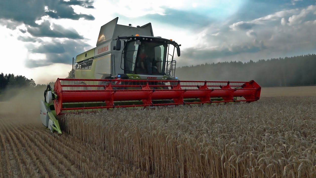 Getreideernte 2020 | Claas Lexion 7500 - YouTube