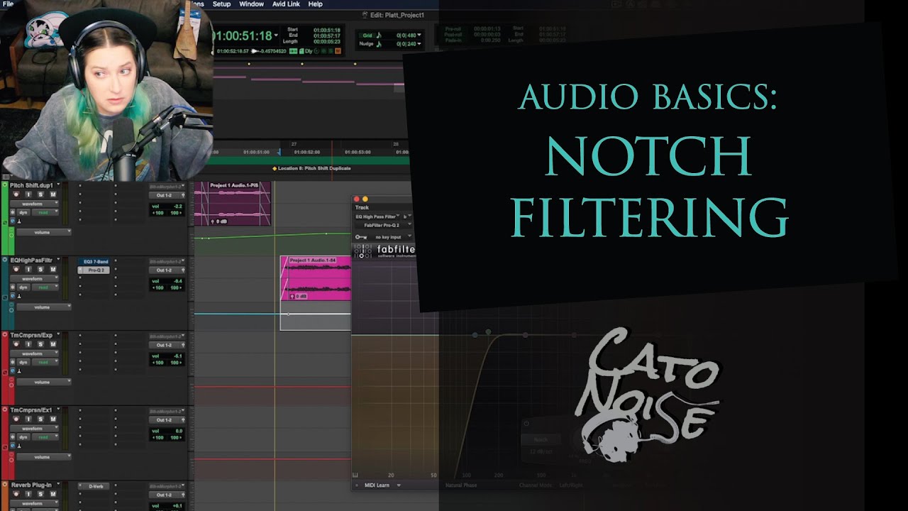 Audio Basics: Notch Filtering - YouTube