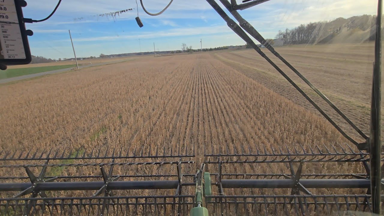 Double Crop Bean Harvest! - YouTube
