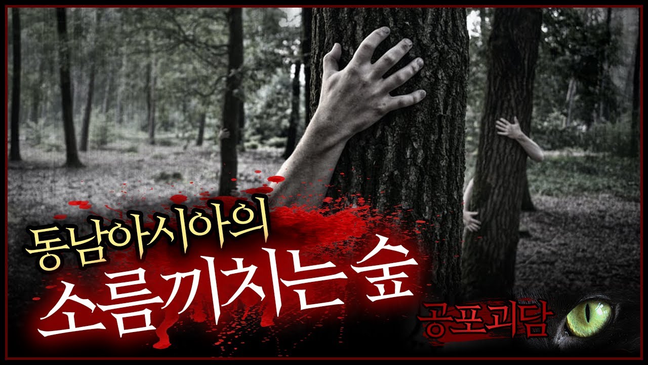 【무서운이야기】 동남아시아의 소름끼치는 숲 소름끼치는 봉제인형 기묘한 빗소리 Youtube