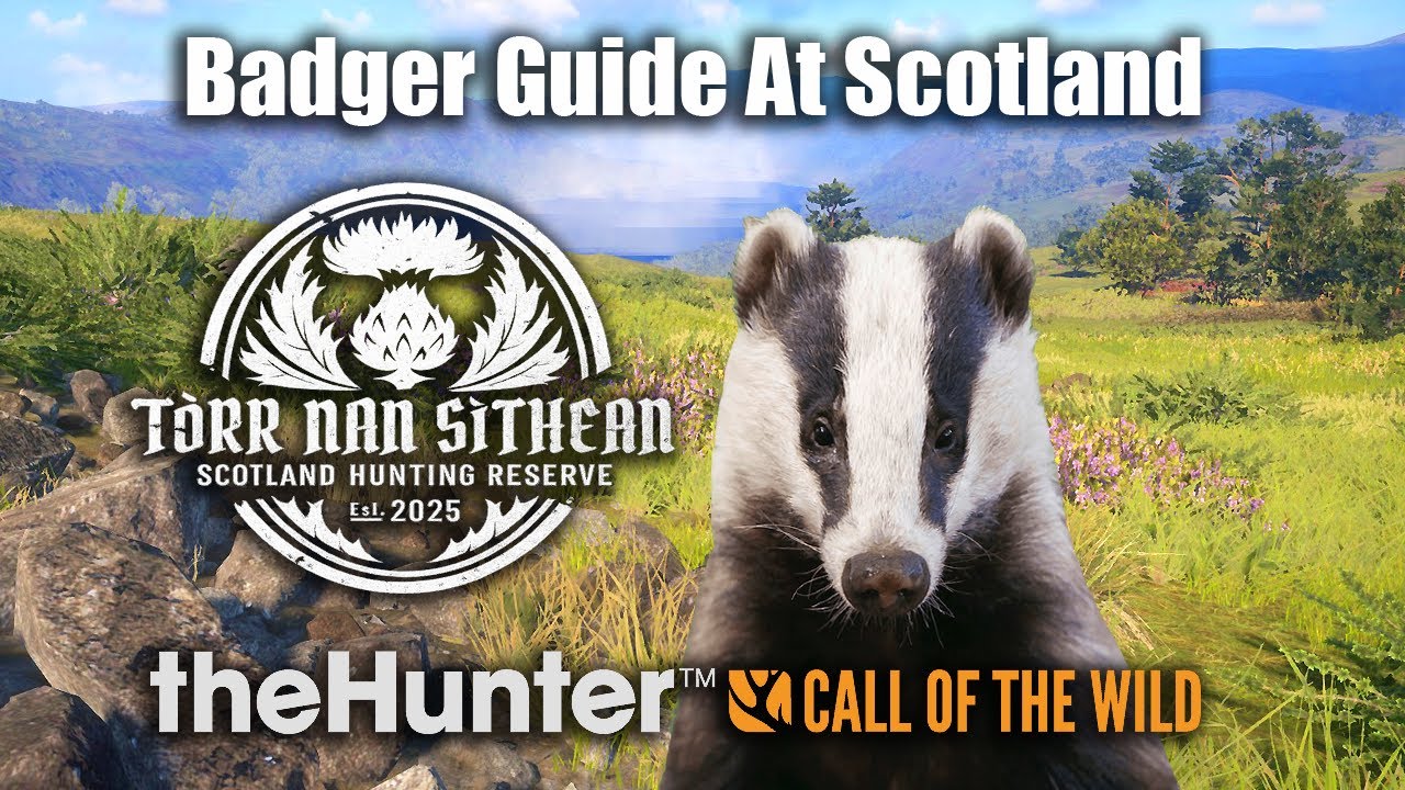 European Badger Guide - Scotland - theHunter Call of the wild - YouTube