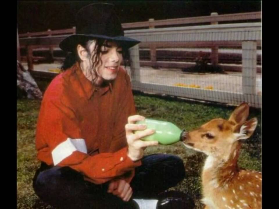Michael Jackson - Maria (Jackson Five) - YouTube