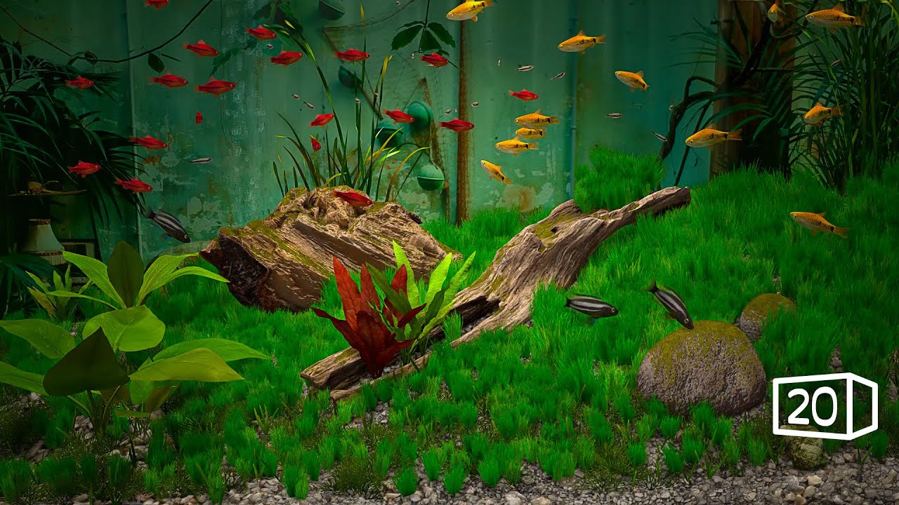 Aquaplanet-20 | Nature sounds | Screensaver - YouTube