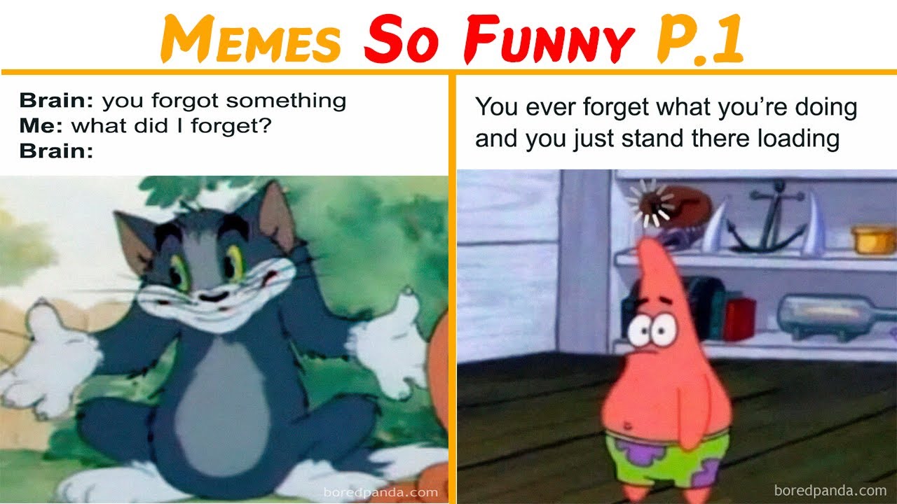 105 Memes So Funny, They Deserve Their Own Stand-Up Special Part 1 ...