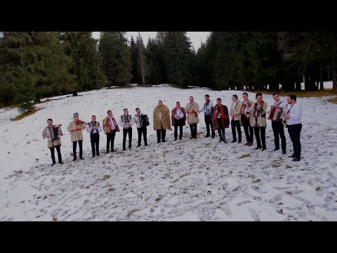 Gazde bune nu dormiti  - Colindătorii Bihorului  - Colinde romanesti