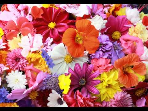 Gülağa Məmmədov - Bayram mahnısı - s. Fikrət Qoca, m. Mehriban Əhmədova