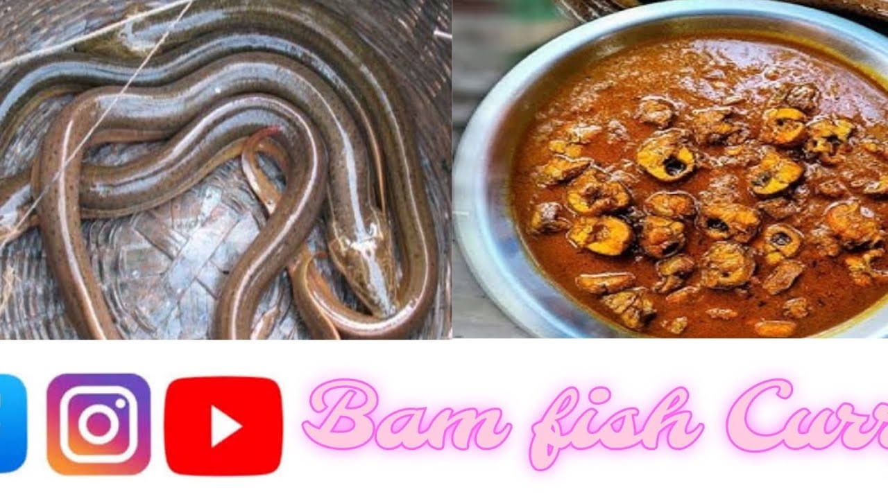Bam fish curry - YouTube