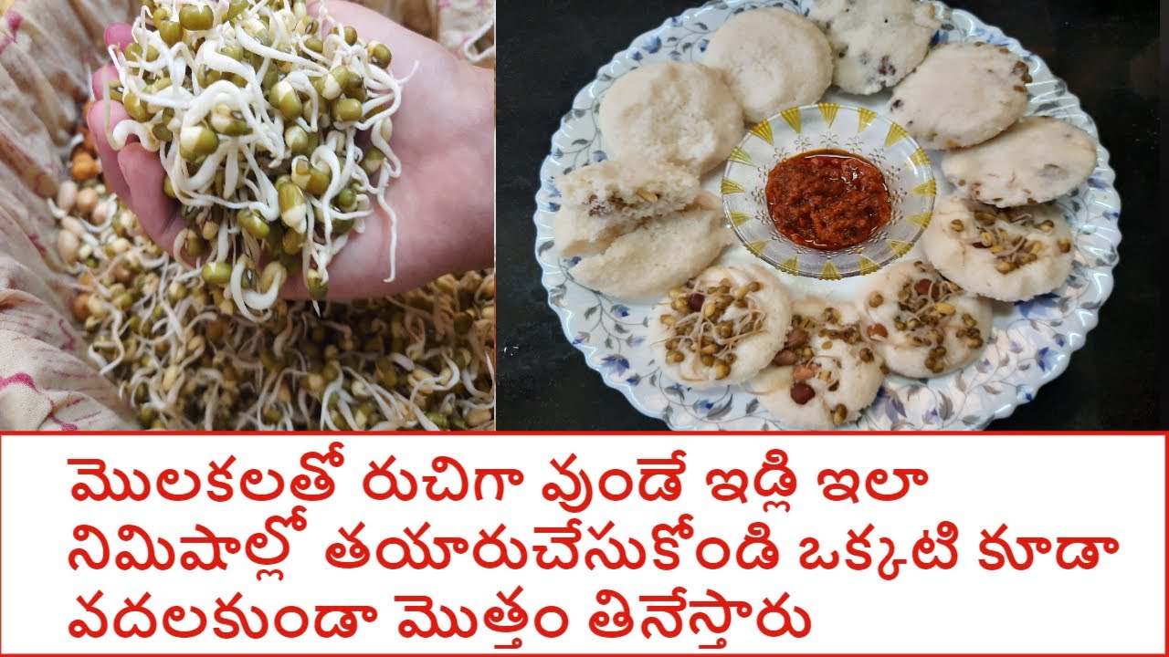 How to Make Tasty Sprouts Idli, Moong Dal Idli, Low Carb Idli, Healthy ...
