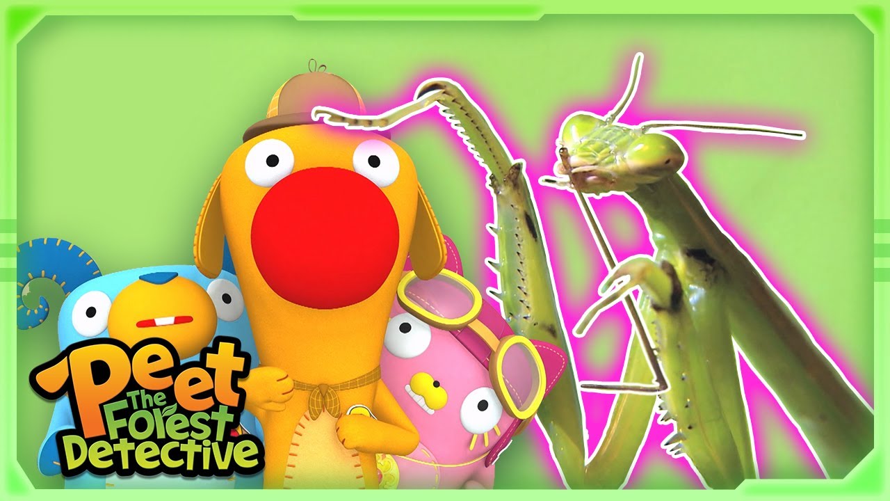 Save the Drowning Mantis! 🦗🌊 | Full Episode | Cartoons for Kids | Peet ...