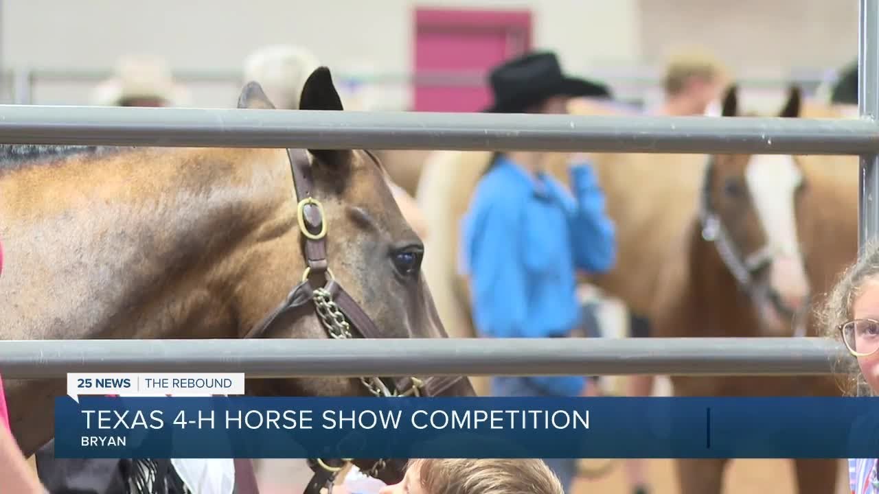 Annual Texas State 4 H Horse Show Held Locally This Week 59th Year Of annual-texas-state-4-h-horse-show-held-locally-this-week-59th-year-of