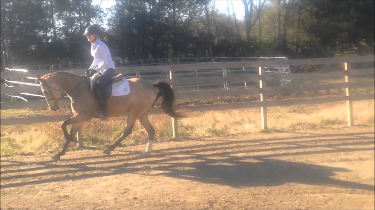 Buckeye Movie - YouTube