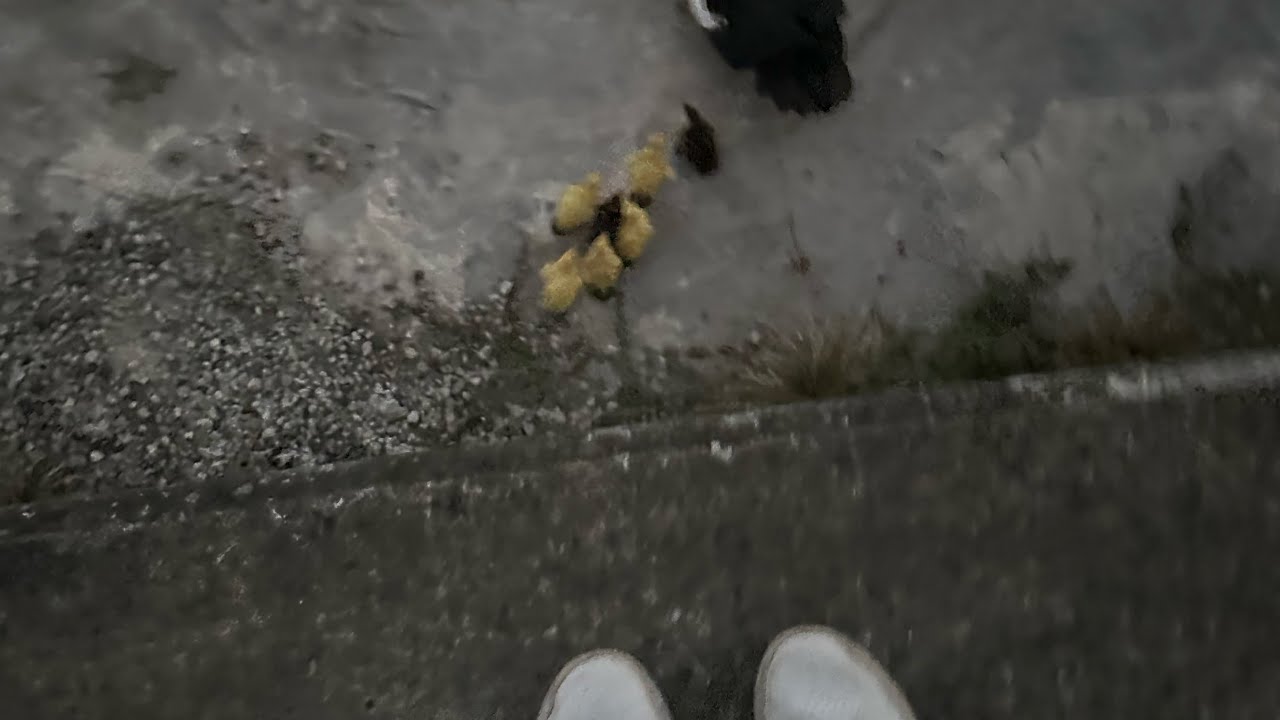 2 days of us doing random stuff w Katie bae and Aiden - YouTube