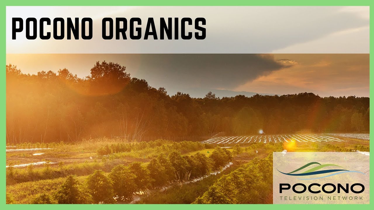 Pocono Television Network | Pocono Organics - YouTube