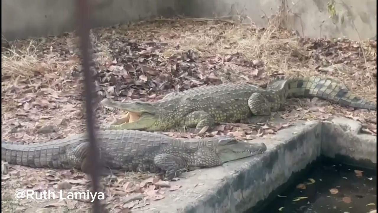 Gist With Lina 2025- Episode 1 - YouTube