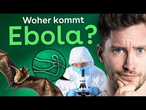 Ebola: Symptome, Verlauf & Behandlung erklärt