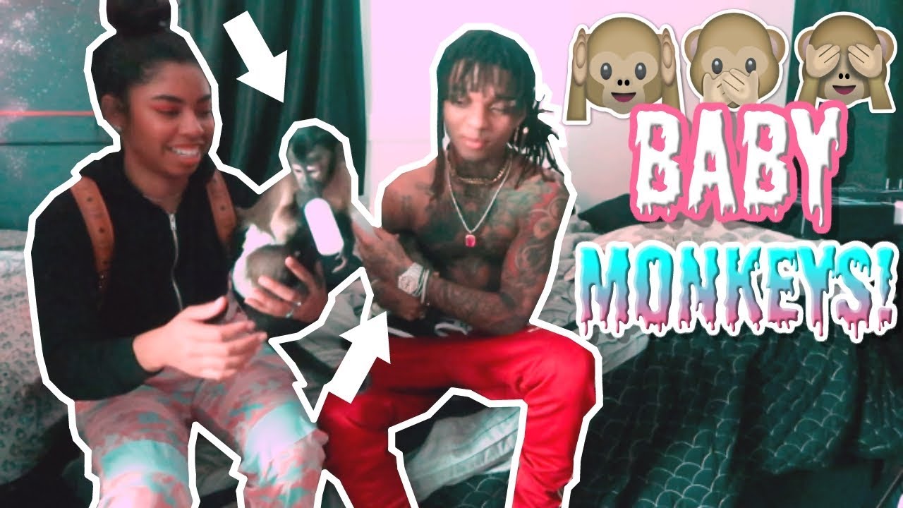 FEEDING SWAE LEE'S MONKEYS! | ChandlerAlexisVlogs #145 - YouTube