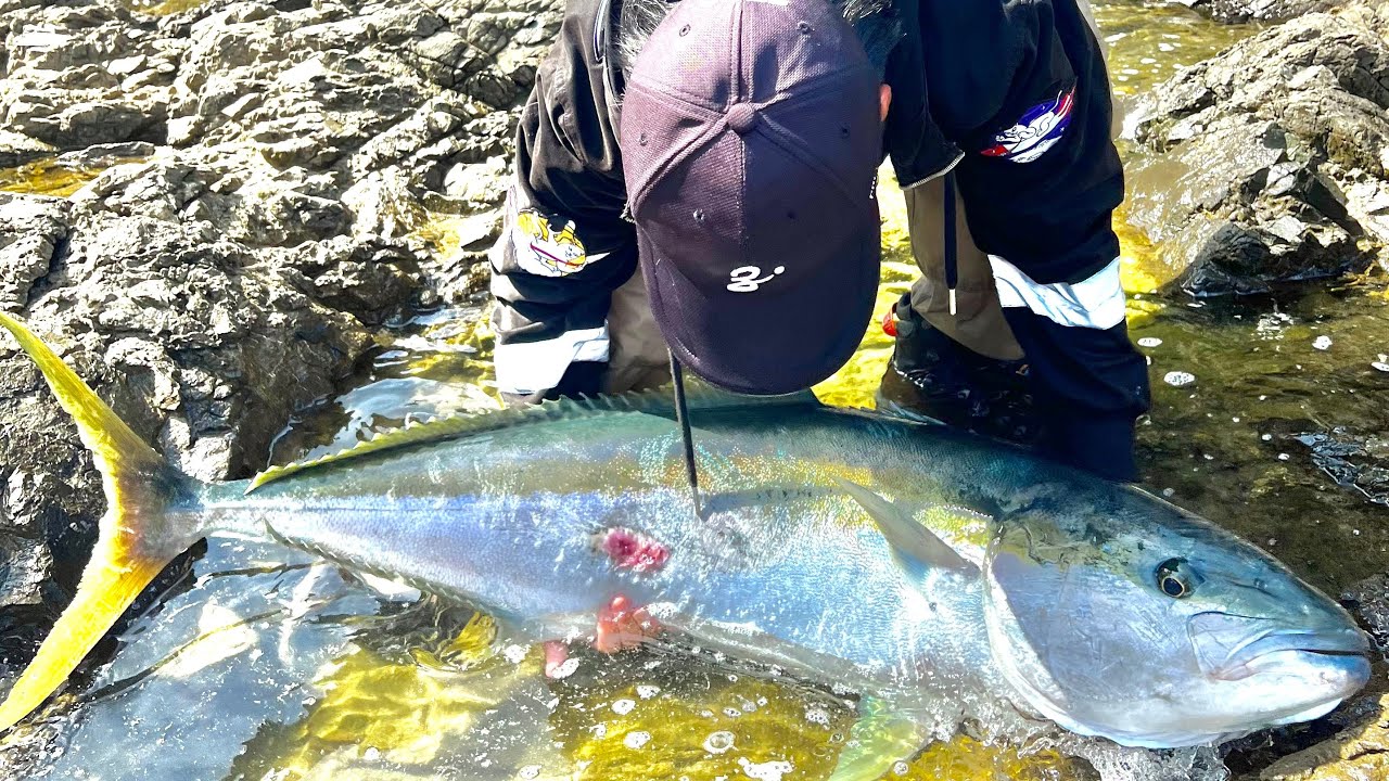 Big Solo Fish Hits Massive Live Bait! - YouTube