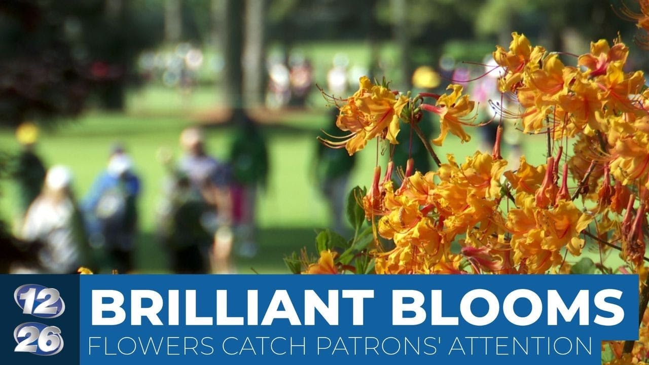 Brilliant flowers nearly steal the show at Augusta National - YouTube