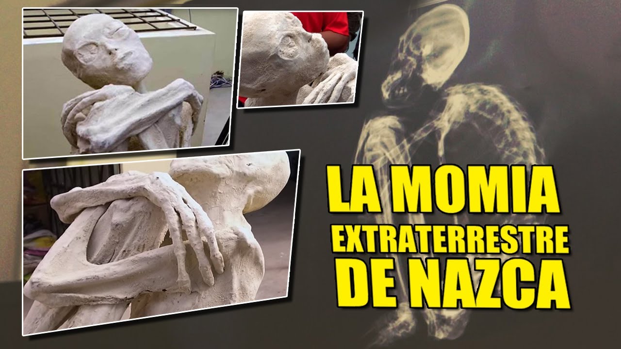 Encuentran una extraña Momia en NAZCA con aspecto extraterrestre - YouTube