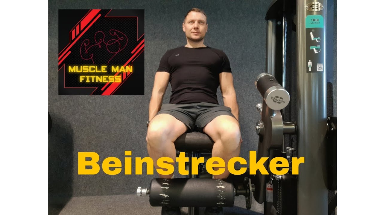 Beinstrecker Maschine Gym80, richtige Ausführung und Technik, Leg ...