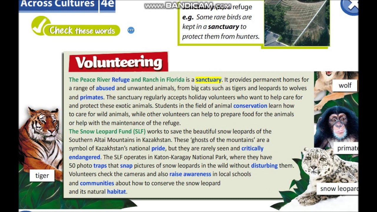 grade 9 volunteering - YouTube