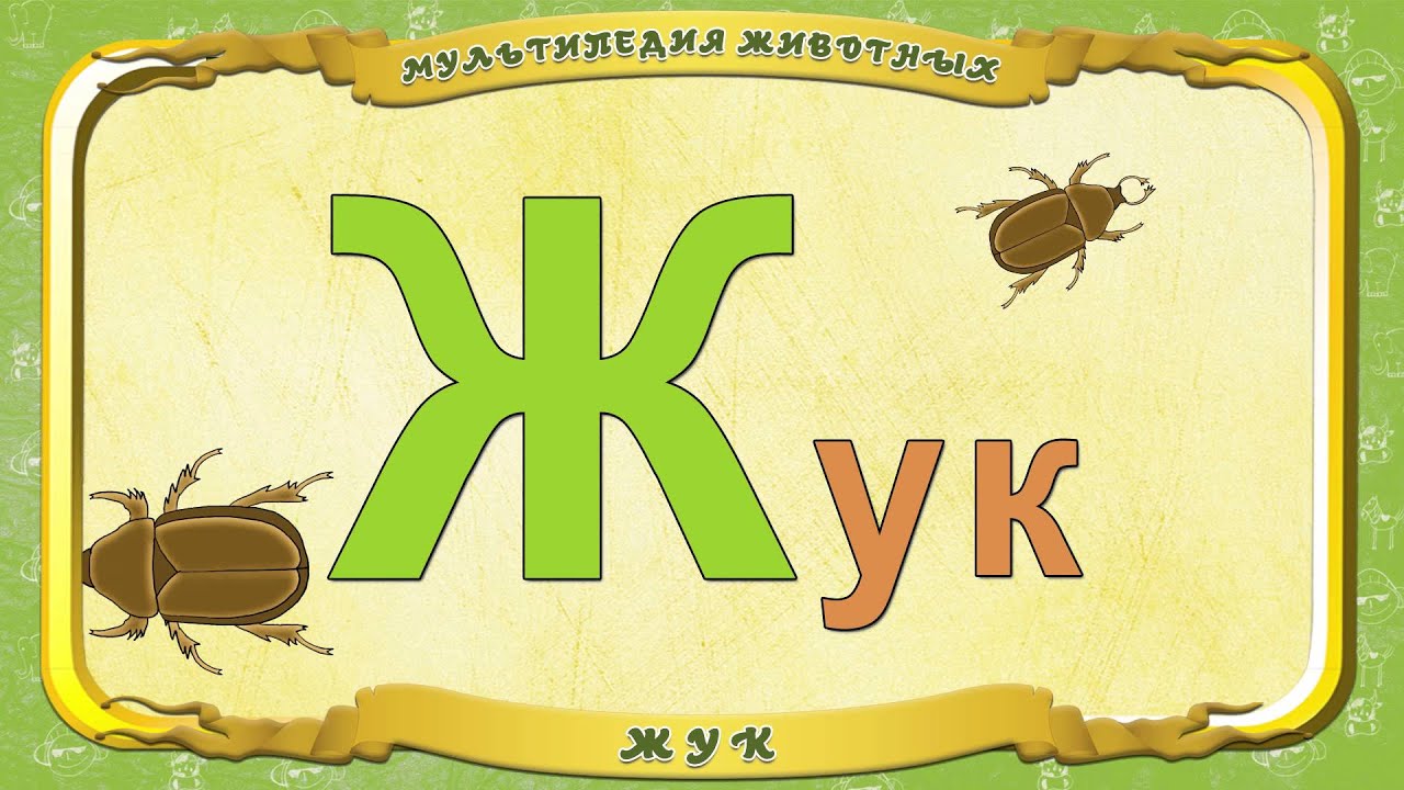 Мультипедия животных Буква Ж Жук Youtube