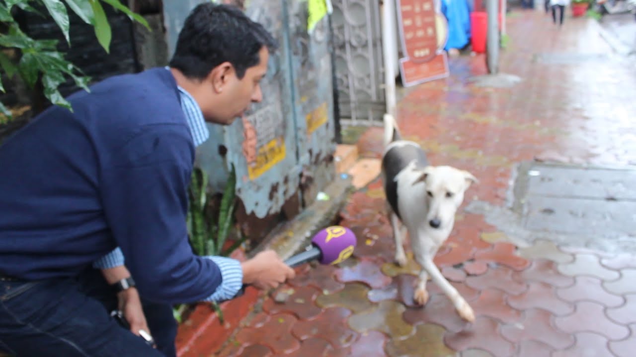 Kya Vijay Salgaonkar Nirdosh Hai YouTube kya-vijay-salgaonkar-nirdosh-hai-youtube