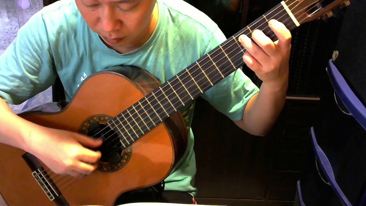 Le paon-Patrick Brun(b. 1957) - YouTube