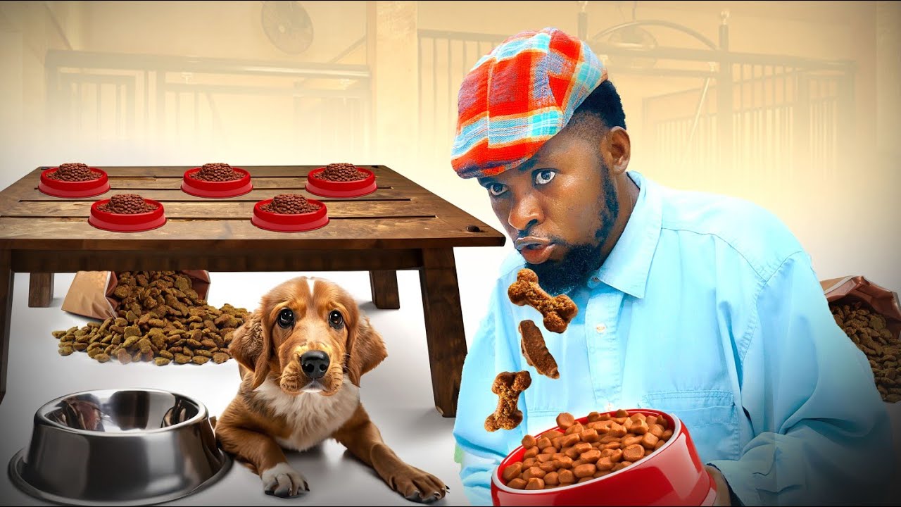 The HILARIOUS Dog Food Dilemma | House Keeper Series | Episode 105 ...
