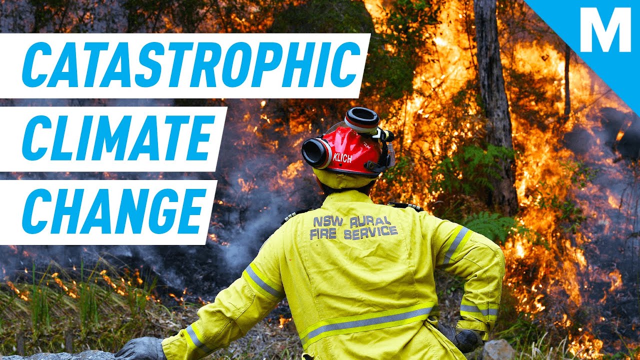 How CATASTROPHIC Is The Future Of CLIMATE CHANGE? | Mashable Explains ...