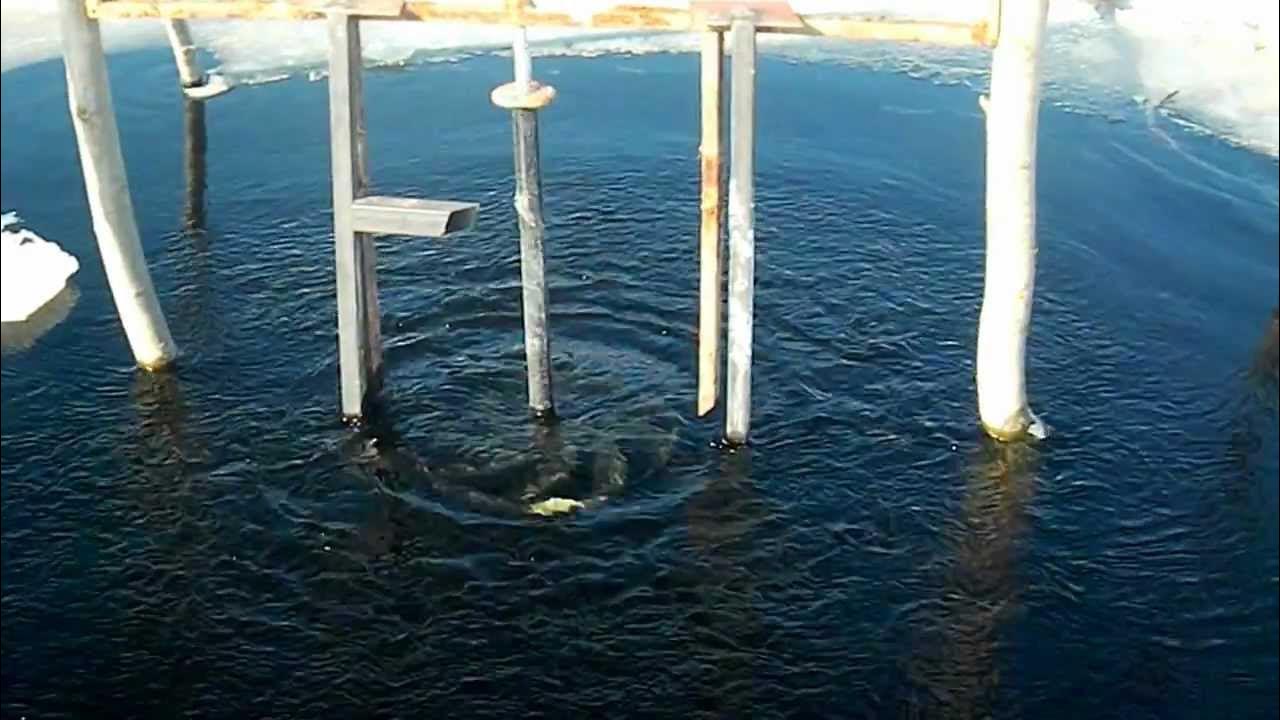 ветровые аэраторы воды, или как спасти рыбу - YouTube
